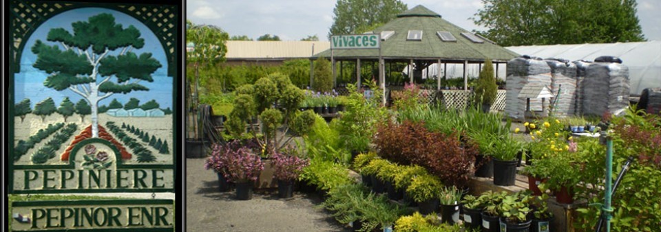 Pepinor – Votre pépinière à Laval